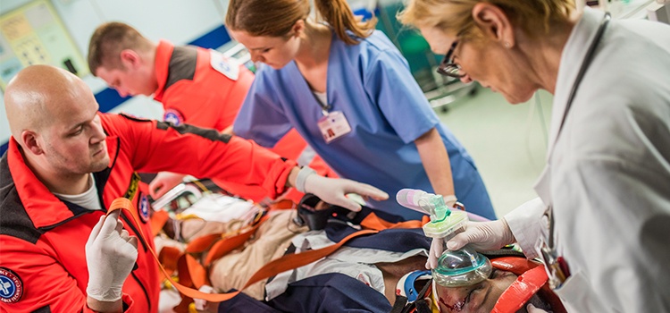 Paramedic to RN Bridge Programs | All Allied Health Schools